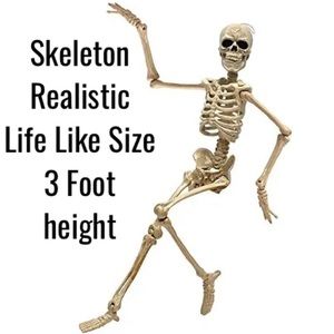 Skulls | Accents | 3 Foot Skeleton Posable Joints Scary Halloween ...